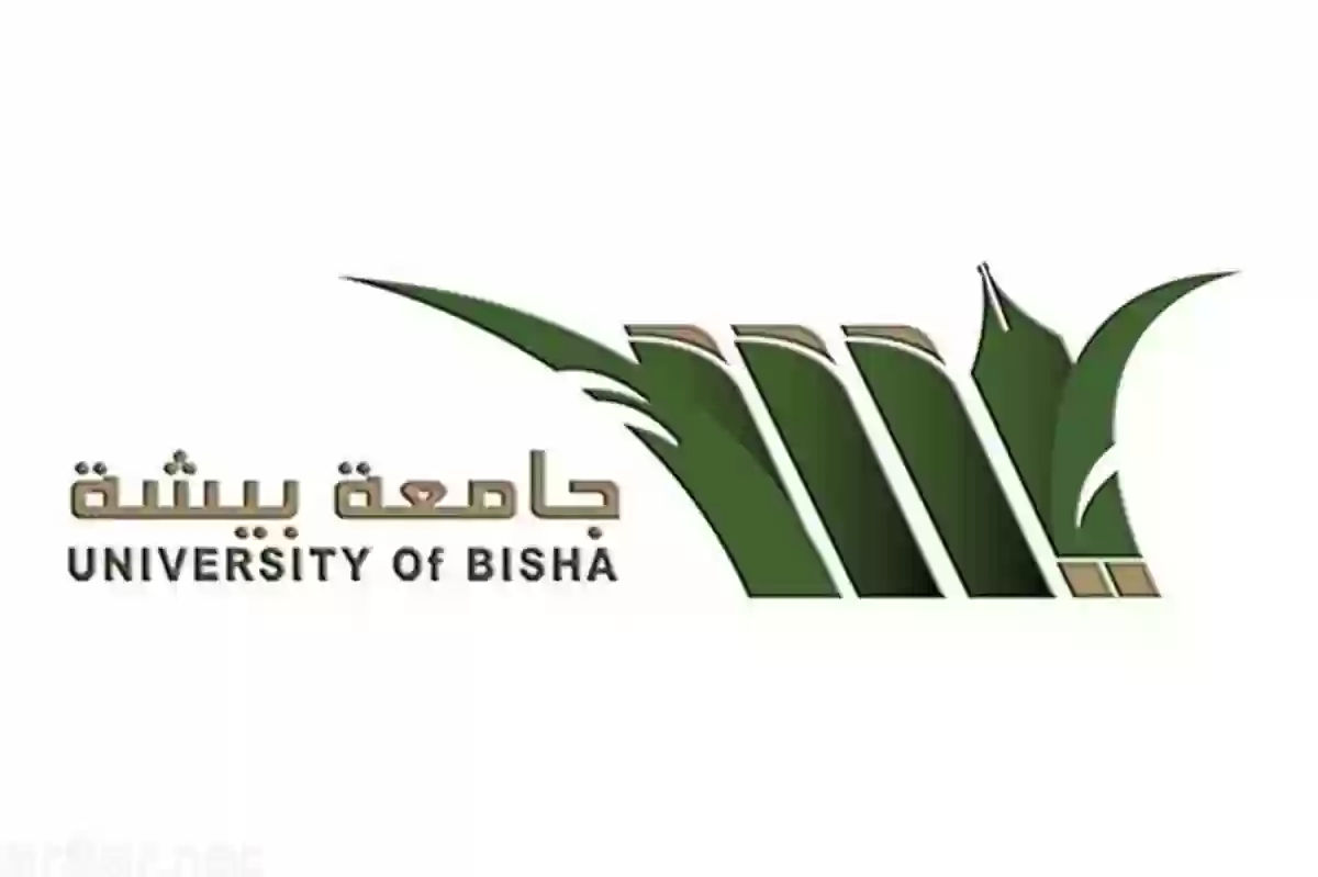 بلاك بورد جامعة بيشه sso.ub.edu.sa - منصة هلا الخليجية